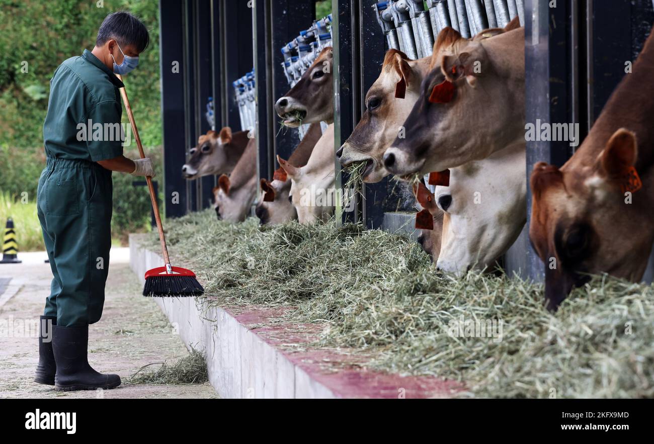 Opening of CityU Farm at Lam Tsuen, Tai Po. The farm, operated by City ...