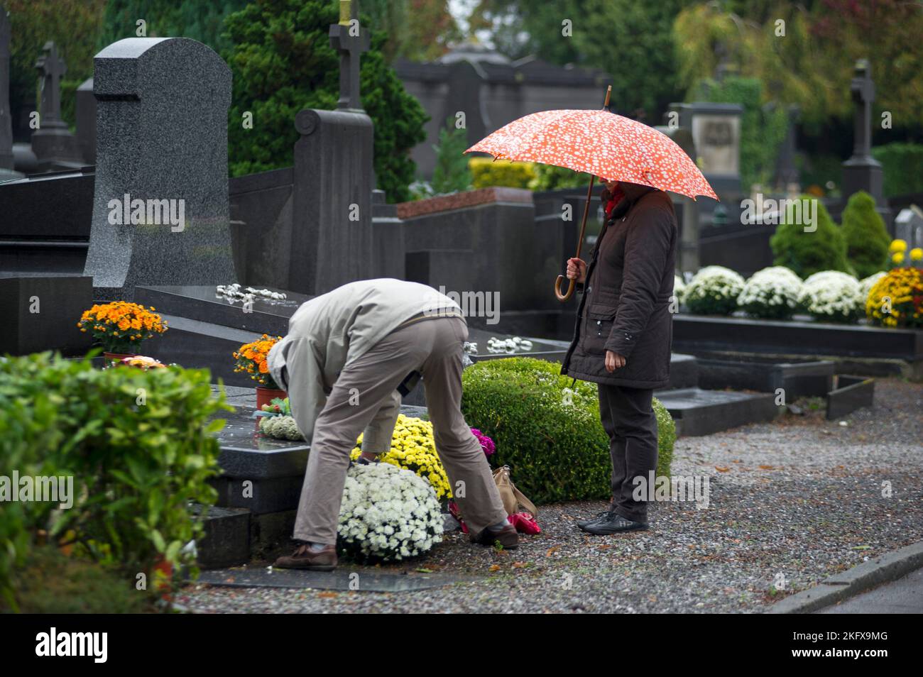 Toussaint - Cimetiere et croix - chrysantheme en souvenir des morts ...