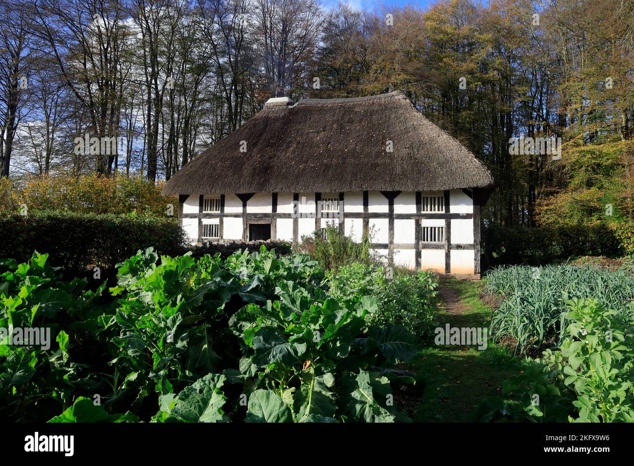 Abernodwydd. cottage garden. St Fagans National Museum of History ...
