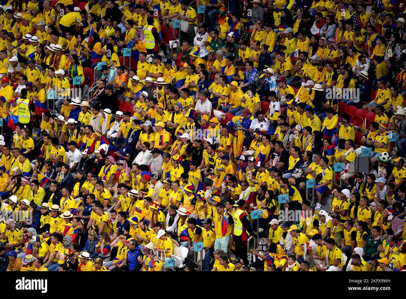 Ecuador fans in the stands during the FIFA World Cup Group A match at ...