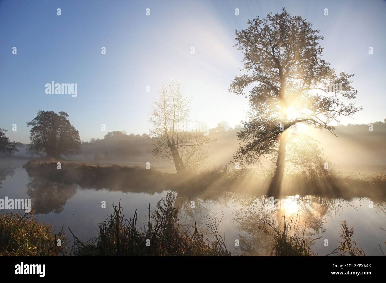 Mist surrey ray sun hi-res stock photography and images - Alamy