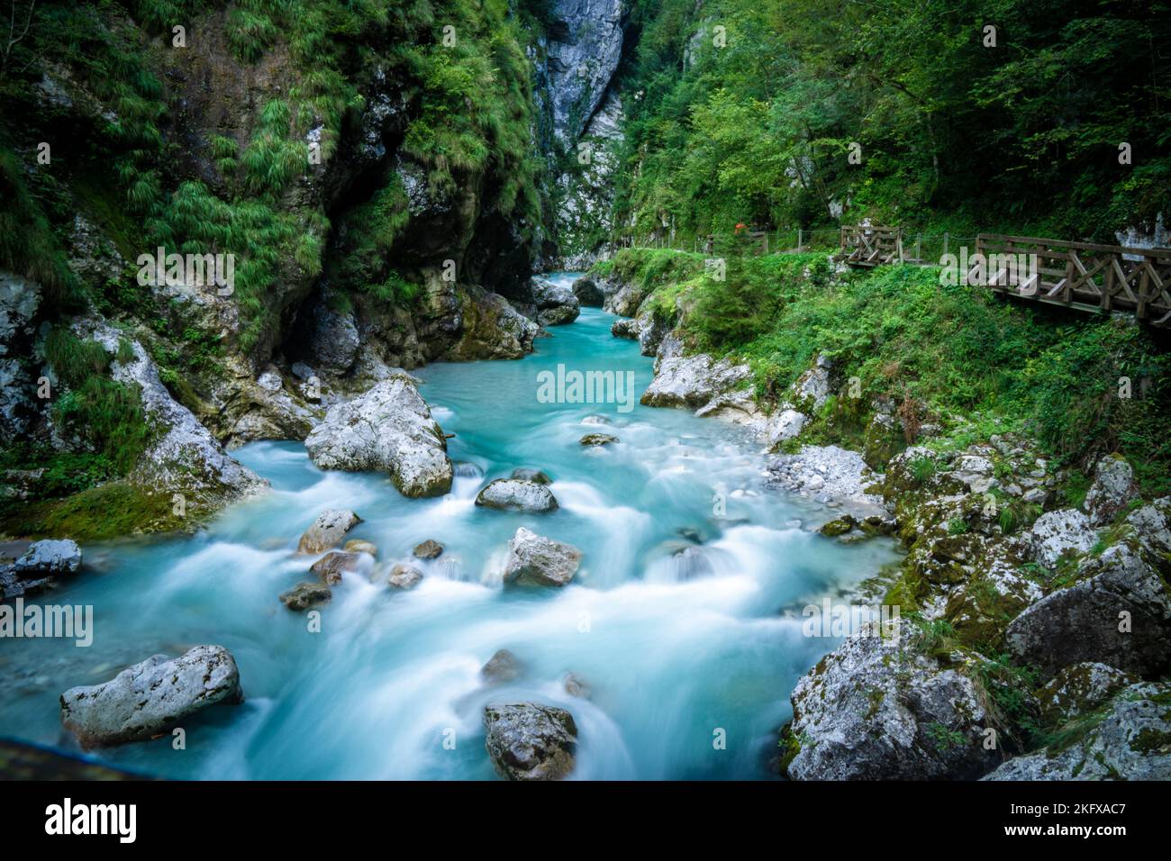 A beautiful view of the Tolmin gorge with green trees in Slovenia Stock ...