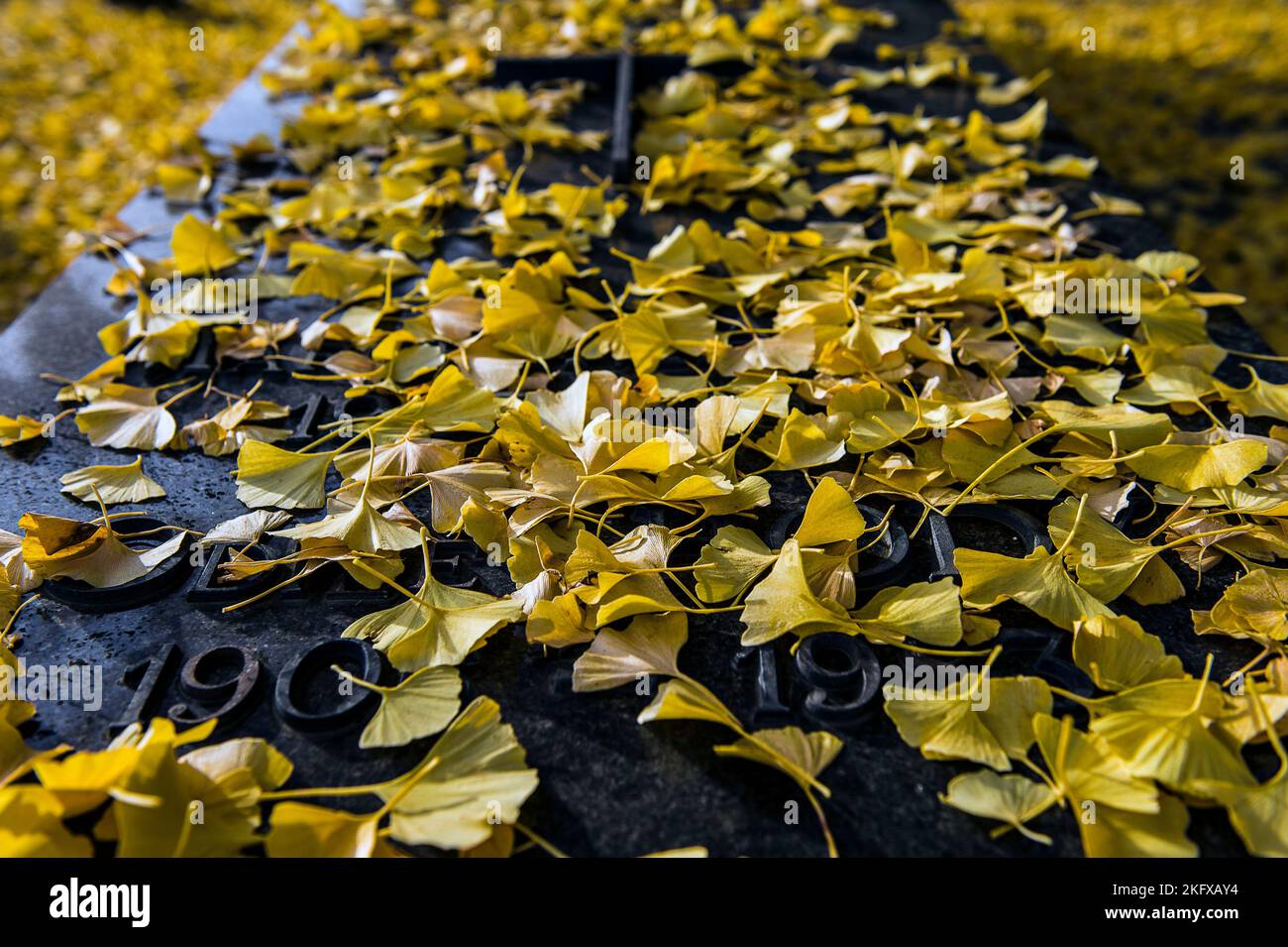 Toussaint - Cimetiere et croix - chrysantheme en souvenir des morts ...