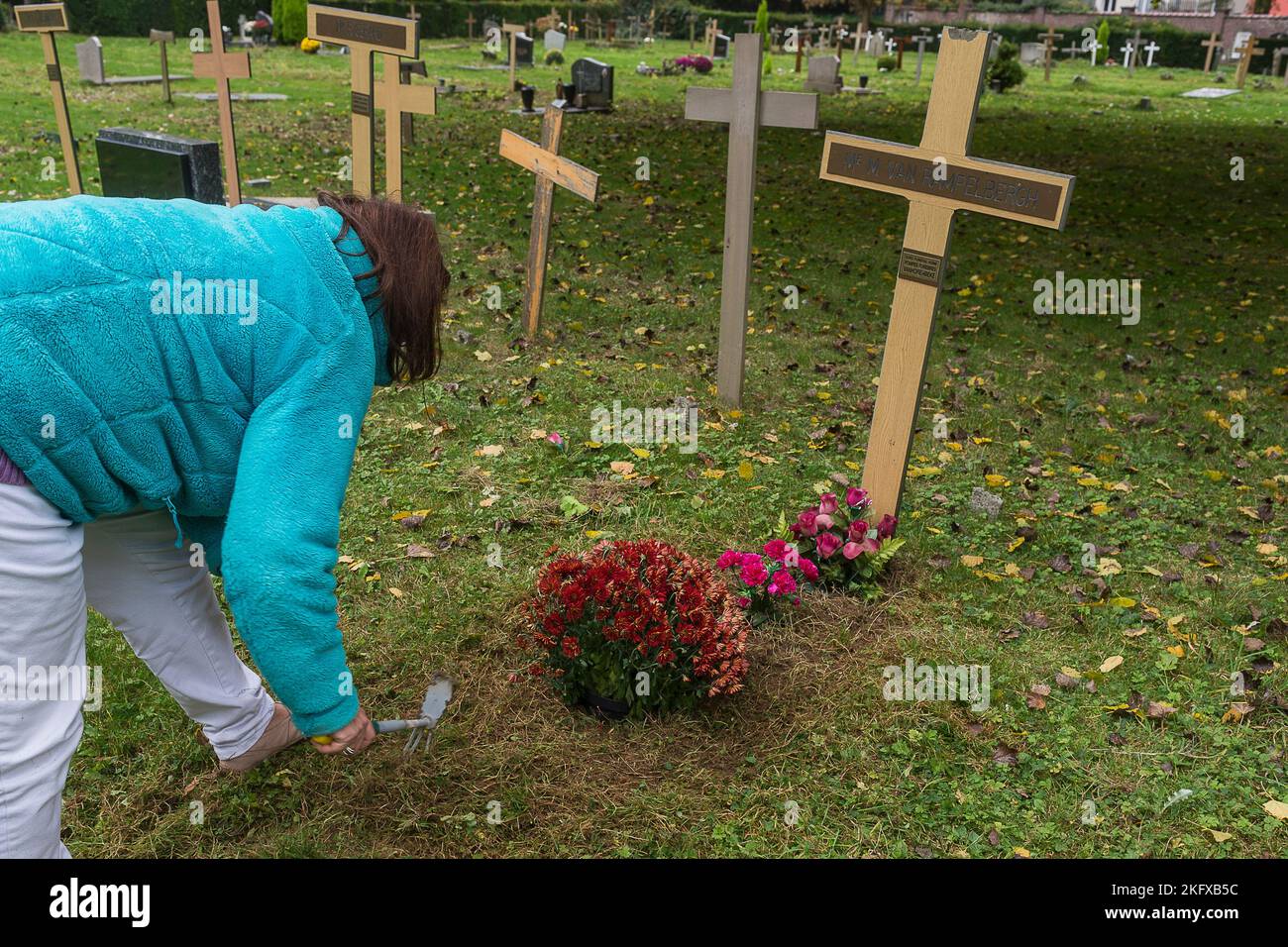 Toussaint - Cimetiere et croix - chrysantheme en souvenir des morts ...