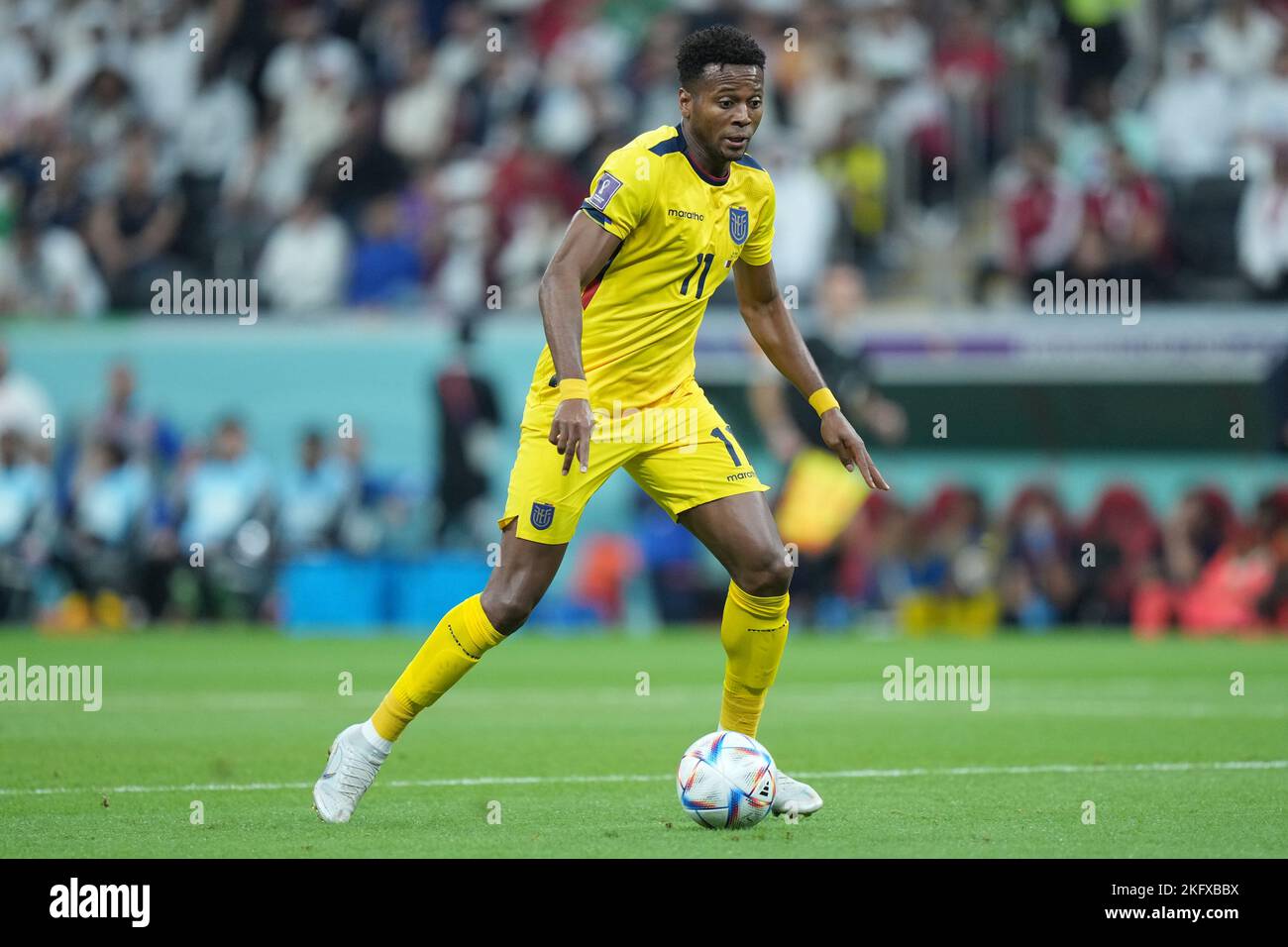 Michael Estrada of Ecuador during the Qatar 2022 World Cup match, group ...