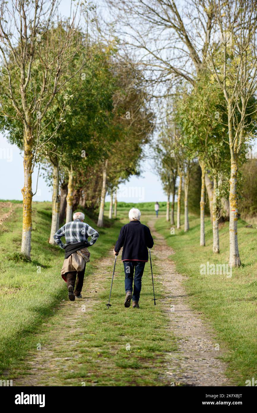 Marche et marche nordique, ideales pour les personnes du troisieme et ...