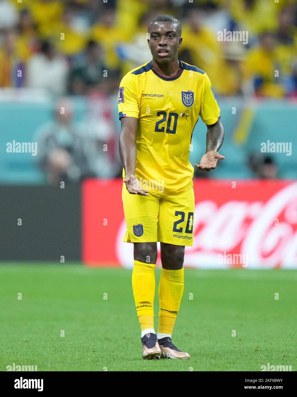 Jhegson Mendez of Ecuador during the Qatar 2022 World Cup match, group ...