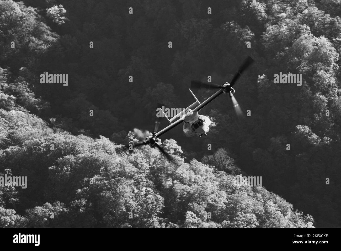 Osprey capabilities Black and White Stock Photos & Images - Alamy