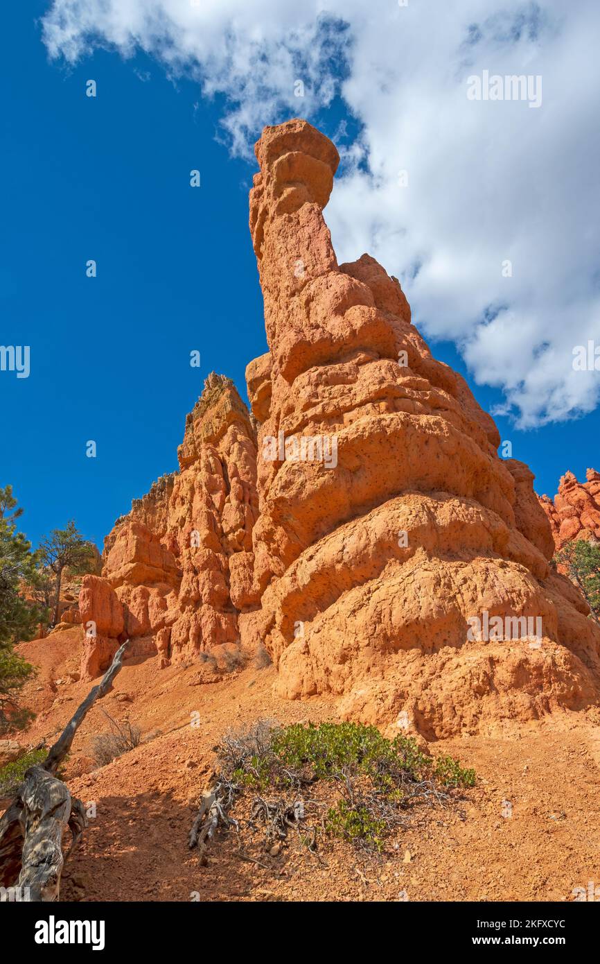 Reaching up in the sky hi-res stock photography and images - Alamy
