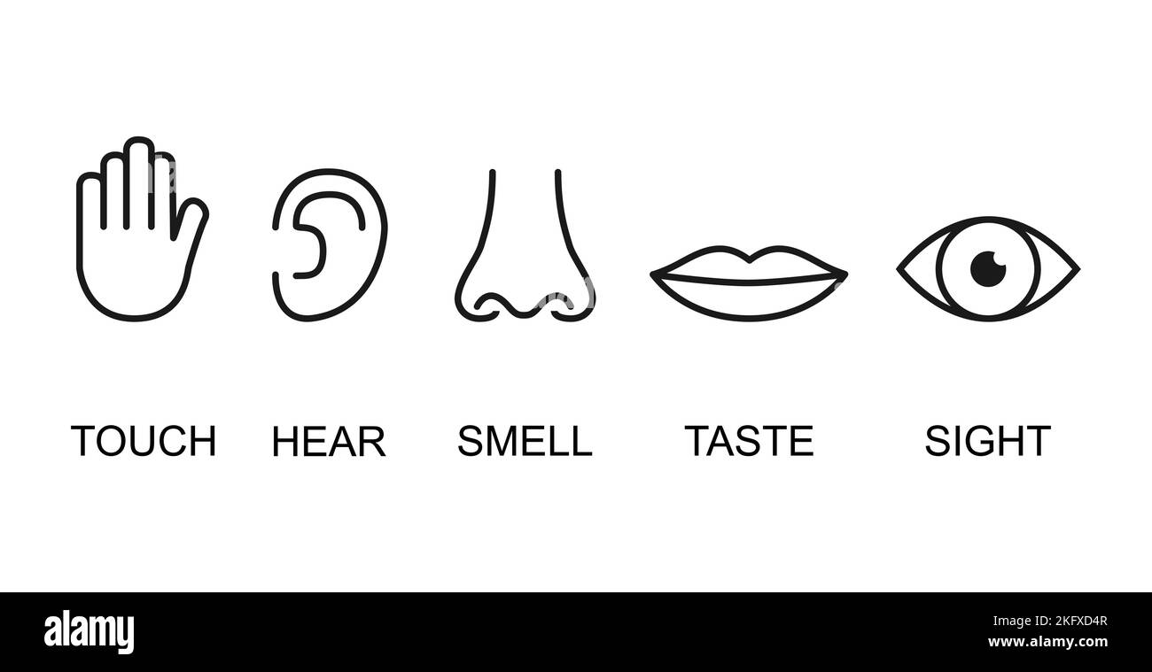 Outline icon set of five human senses: vision eye smell nose hearing ...