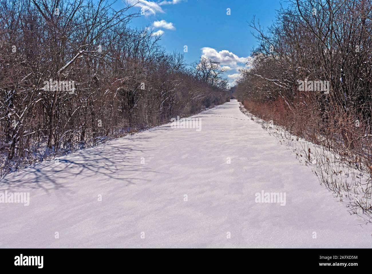 Unbroken Snow on a Rural Road in the Crabtree Nature Center in Illinois ...