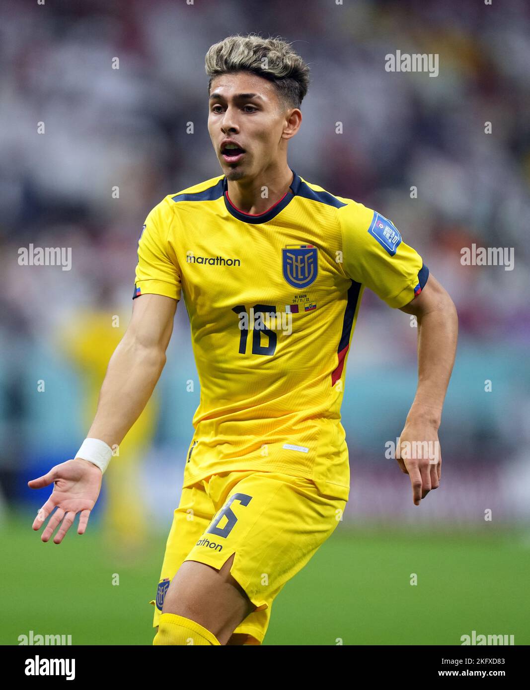Ecuador's Jeremy Sarmiento during the FIFA World Cup Group A match at ...