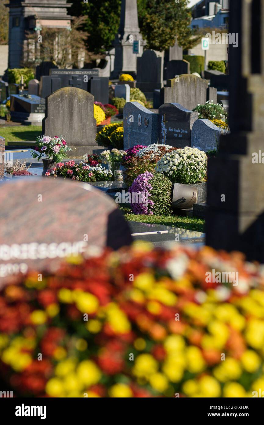 Toussaint - Cimetiere et croix - Fete des saints - Hommage aux morts ...