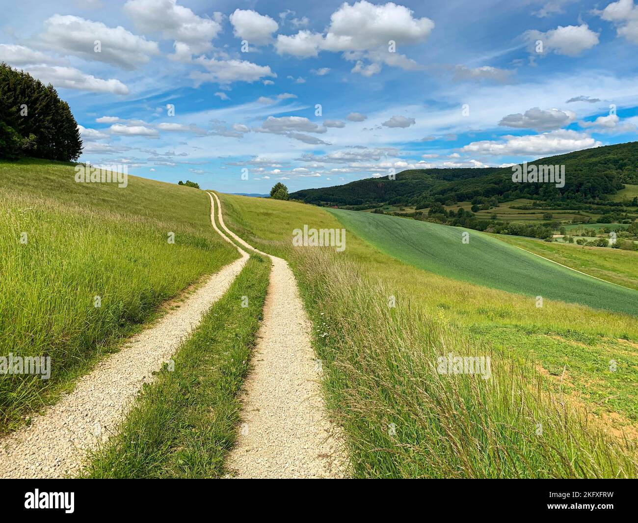 A path in a wheat field in Frankenjura Stock Photo - Alamy