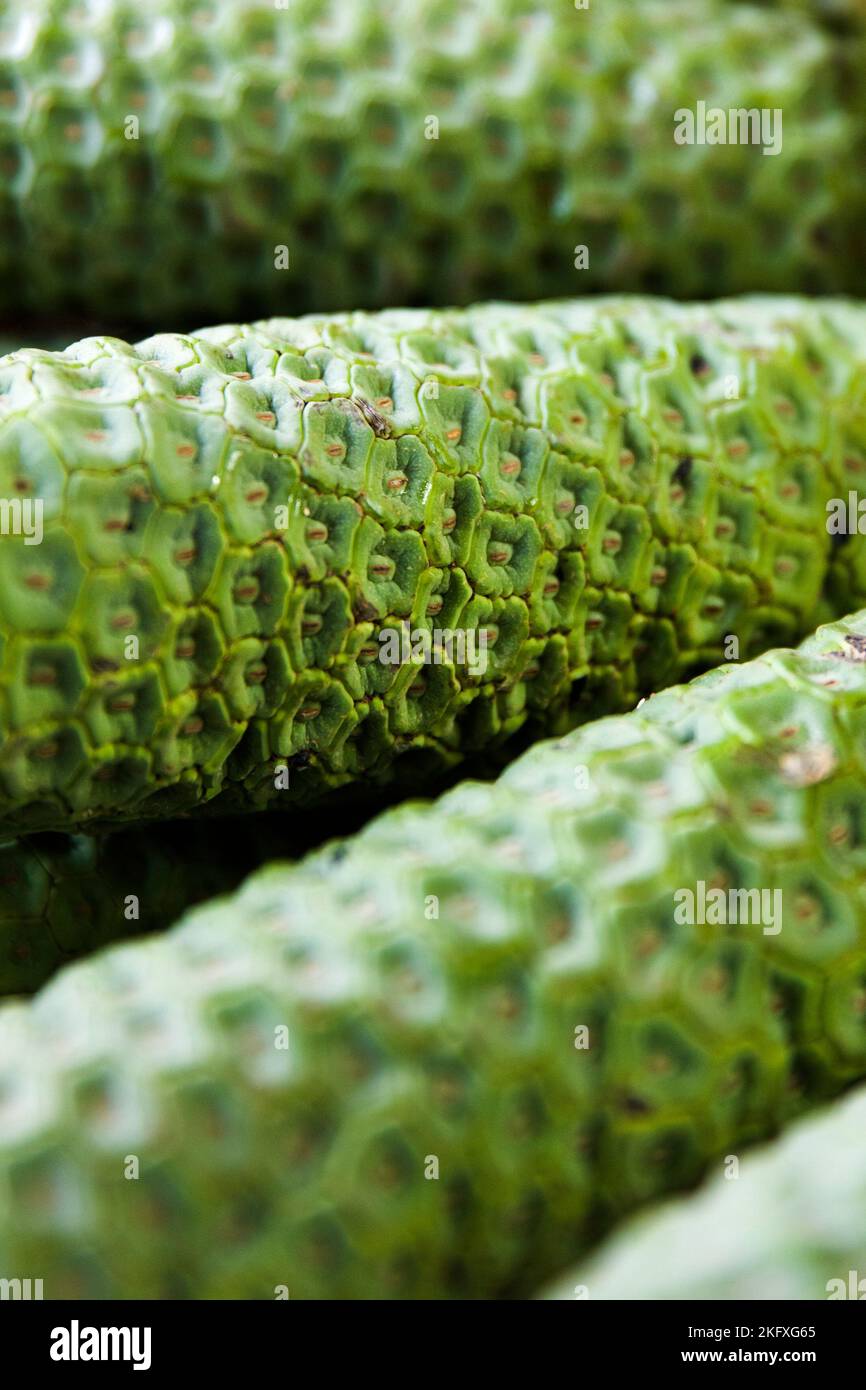 Monster fruit hi-res stock photography and images - Alamy