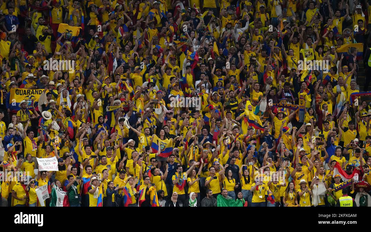 Fifa world cup 2022 ecuador hi-res stock photography and images - Alamy