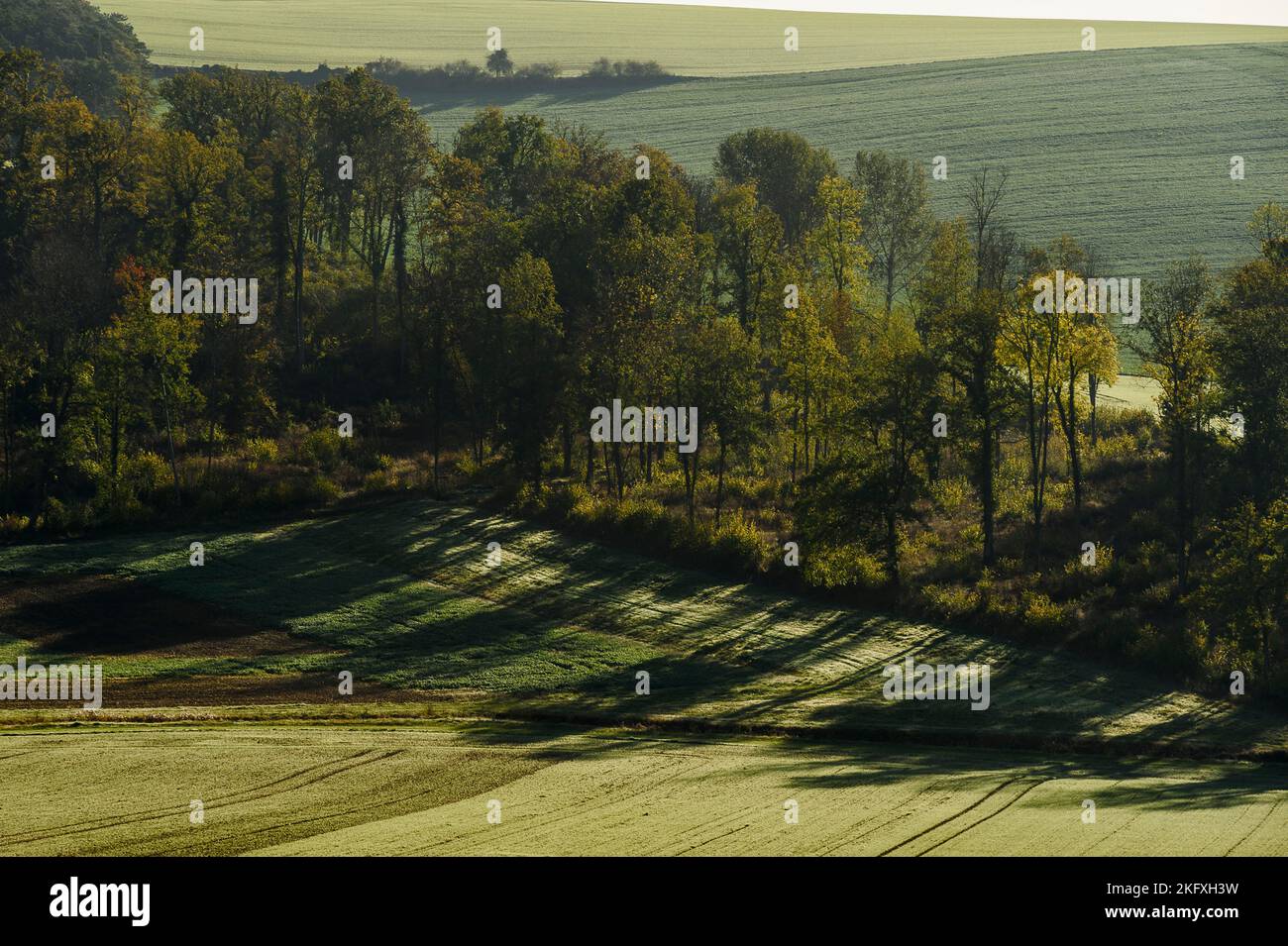 Lumière matinale hi-res stock photography and images - Alamy