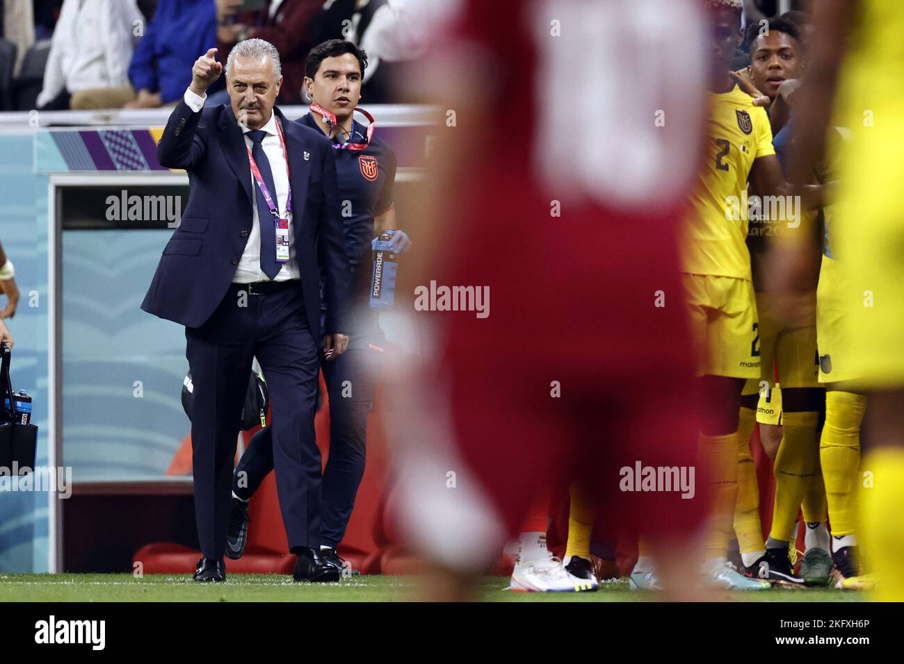 AL KHOR - Ecuador coach Gustavo Alfaro during the FIFA World Cup Qatar ...