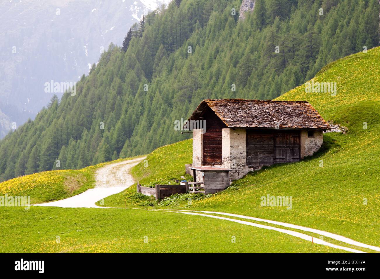 A small cabin on a rural green field in the Alps Stock Photo - Alamy