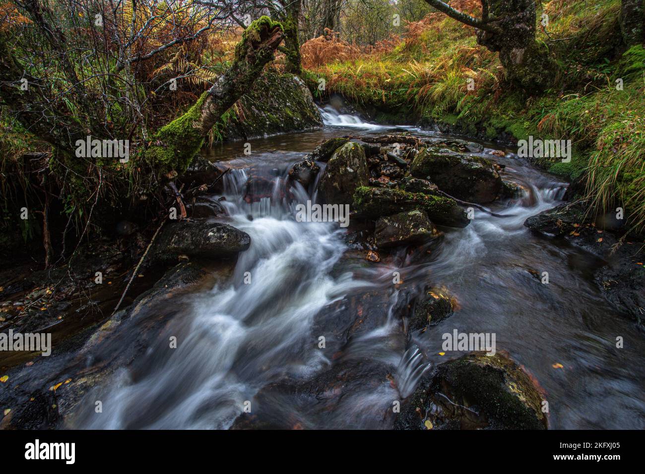 Stream in Loch Lomond and The Trossachs National Park, central Scotland ...