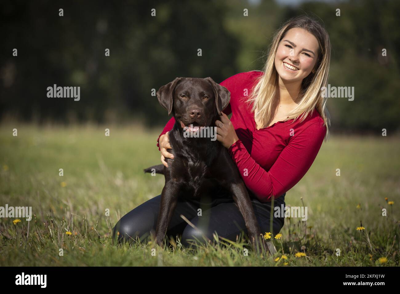 woman with Labrador Retriever Stock Photo - Alamy