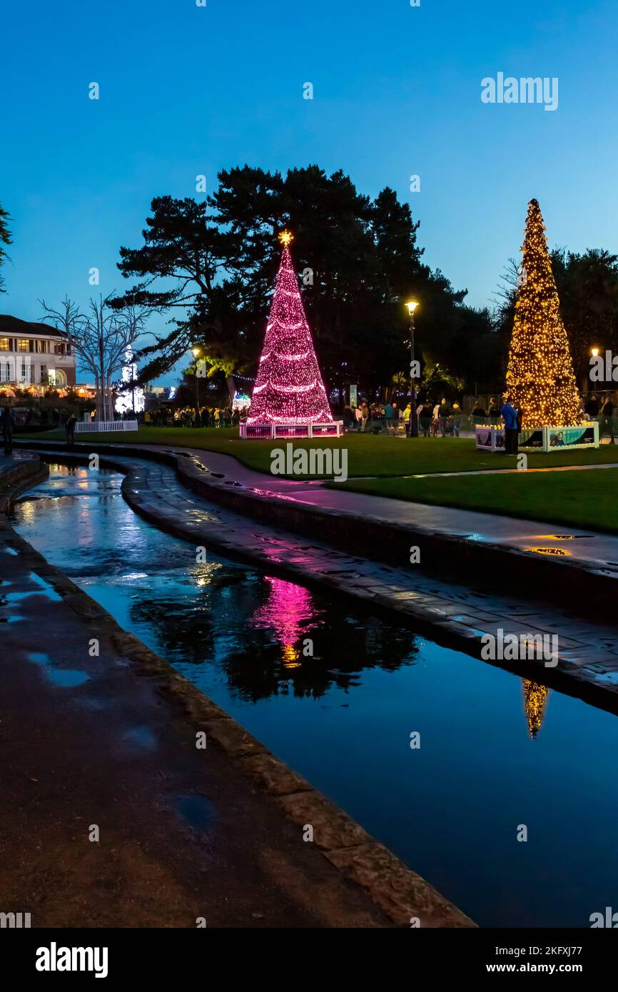 Tree walkthrough hi-res stock photography and images - Alamy