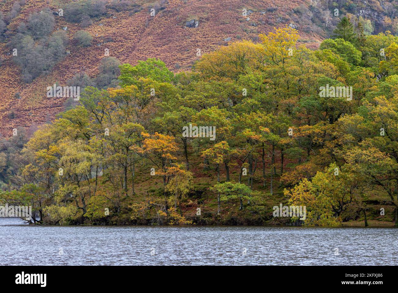 Autumn view, Loch Lomond, Scotland UK Stock Photo - Alamy