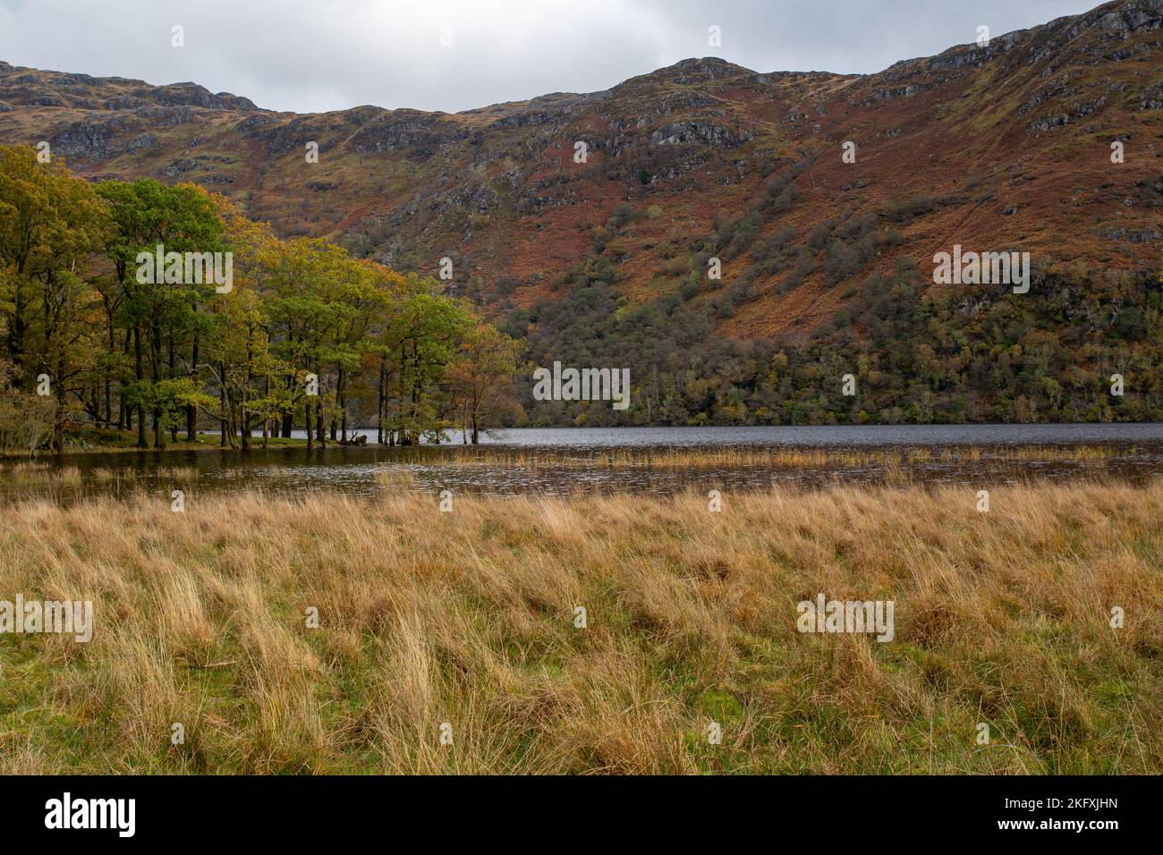 Beautiful autumn landscape central hi-res stock photography and images ...