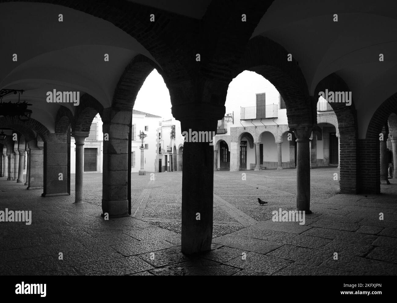 A grayscale shot of the historic columns of Plaza Chica in Badajoz ...