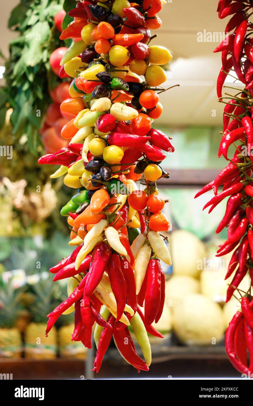 hanging string of red chilli peppers in a market in palma mallorca ...