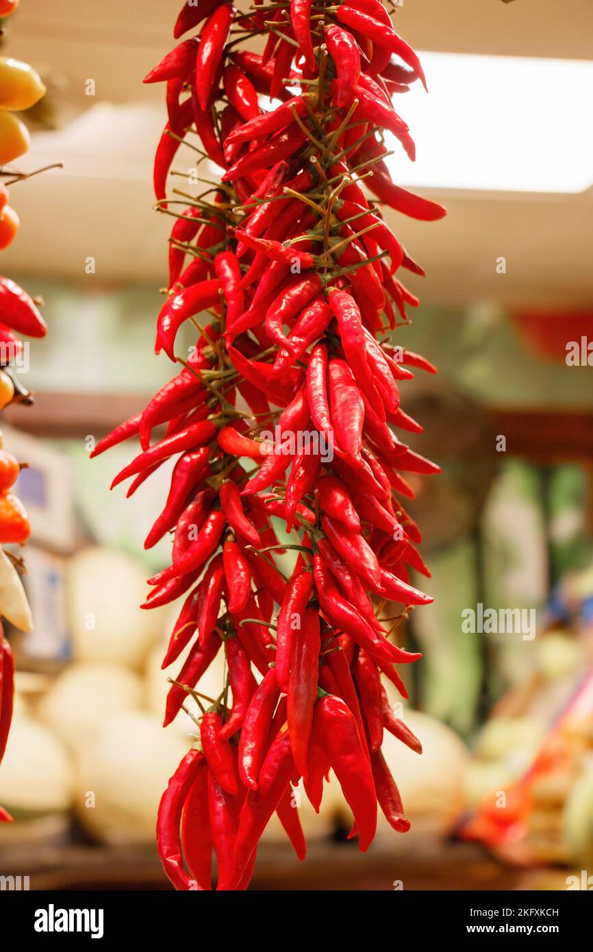 hanging string of red chilli peppers in a market in palma mallorca ...
