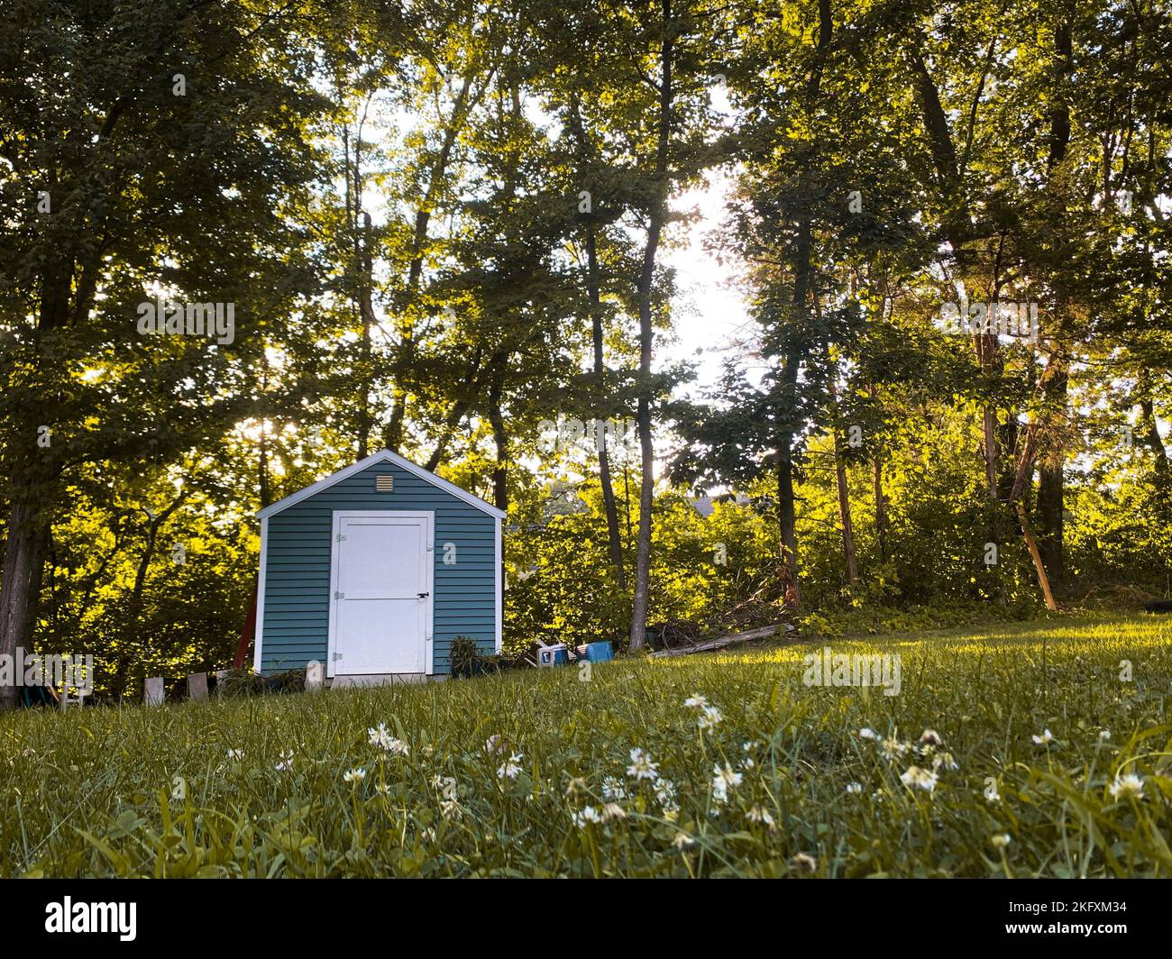 A horizontal image of a little shed in a garden surrounded by high ...