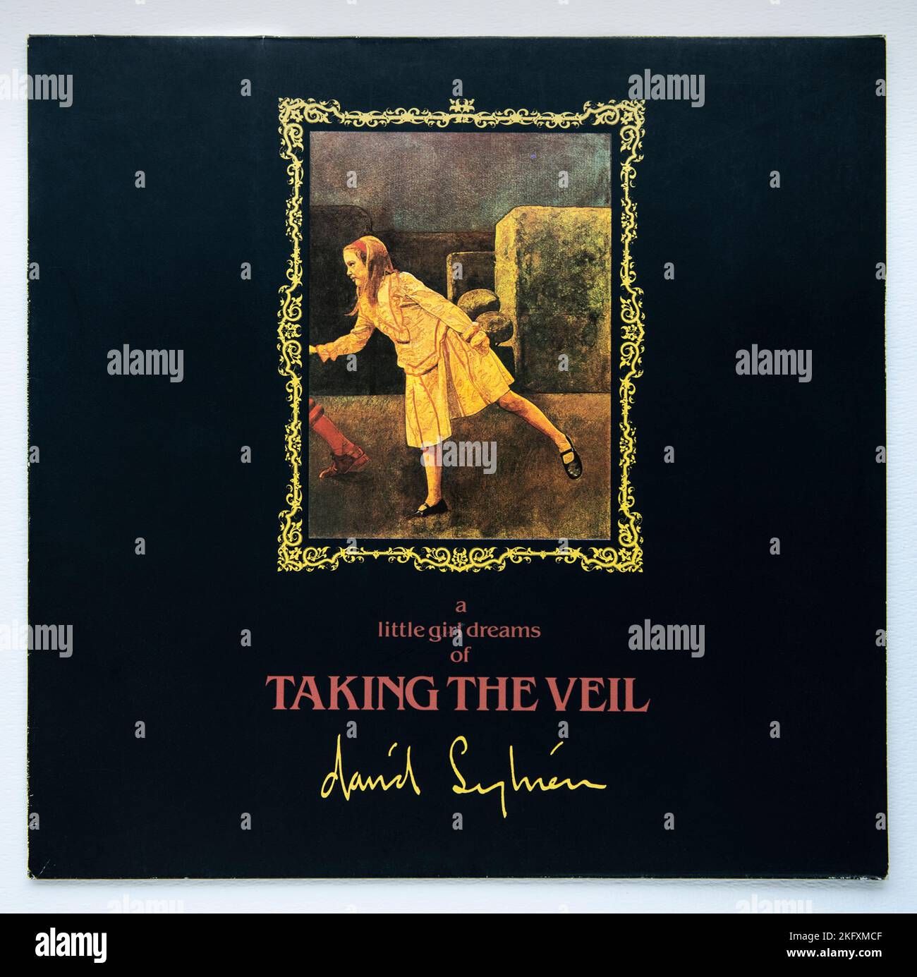 Picture cover of the 12 inch single version of Taking the Veil by David ...
