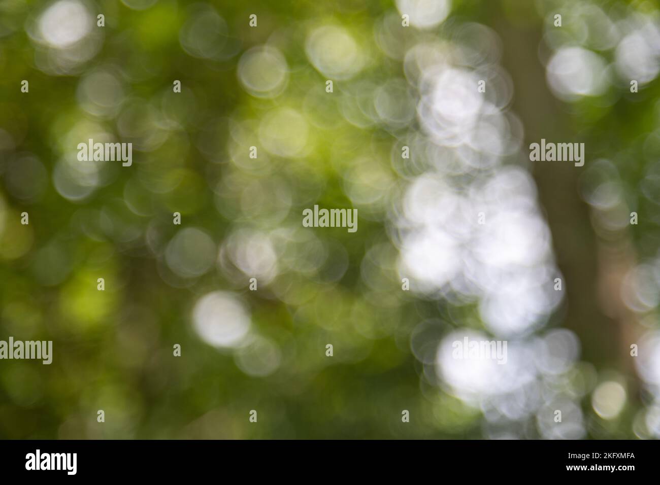 Green lens flares light on hi-res stock photography and images - Alamy
