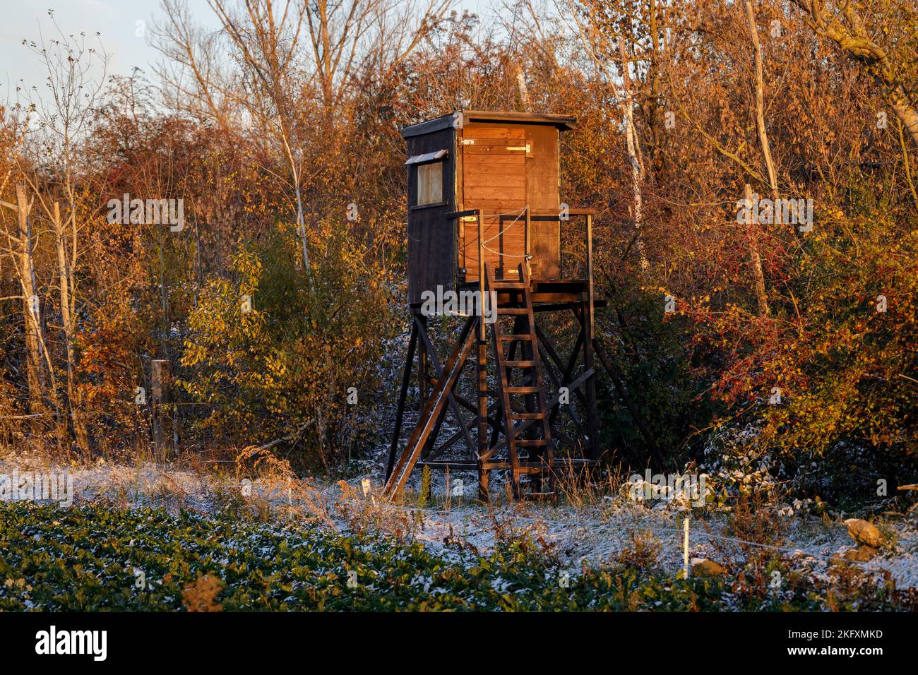 a hunter's hide on the edge of a grove Stock Photo - Alamy