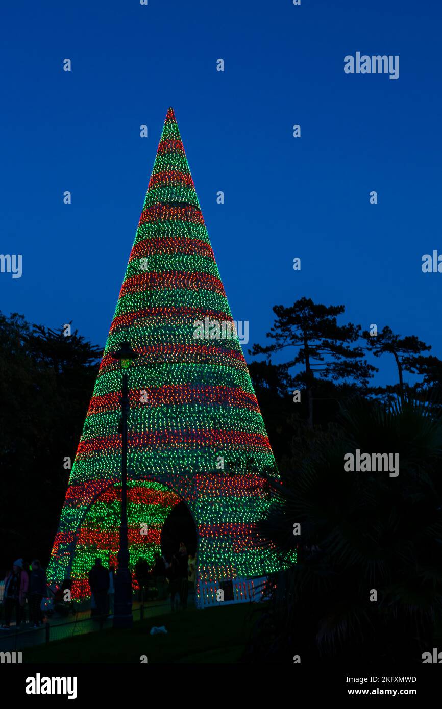 Walkthrough trees hi-res stock photography and images - Alamy