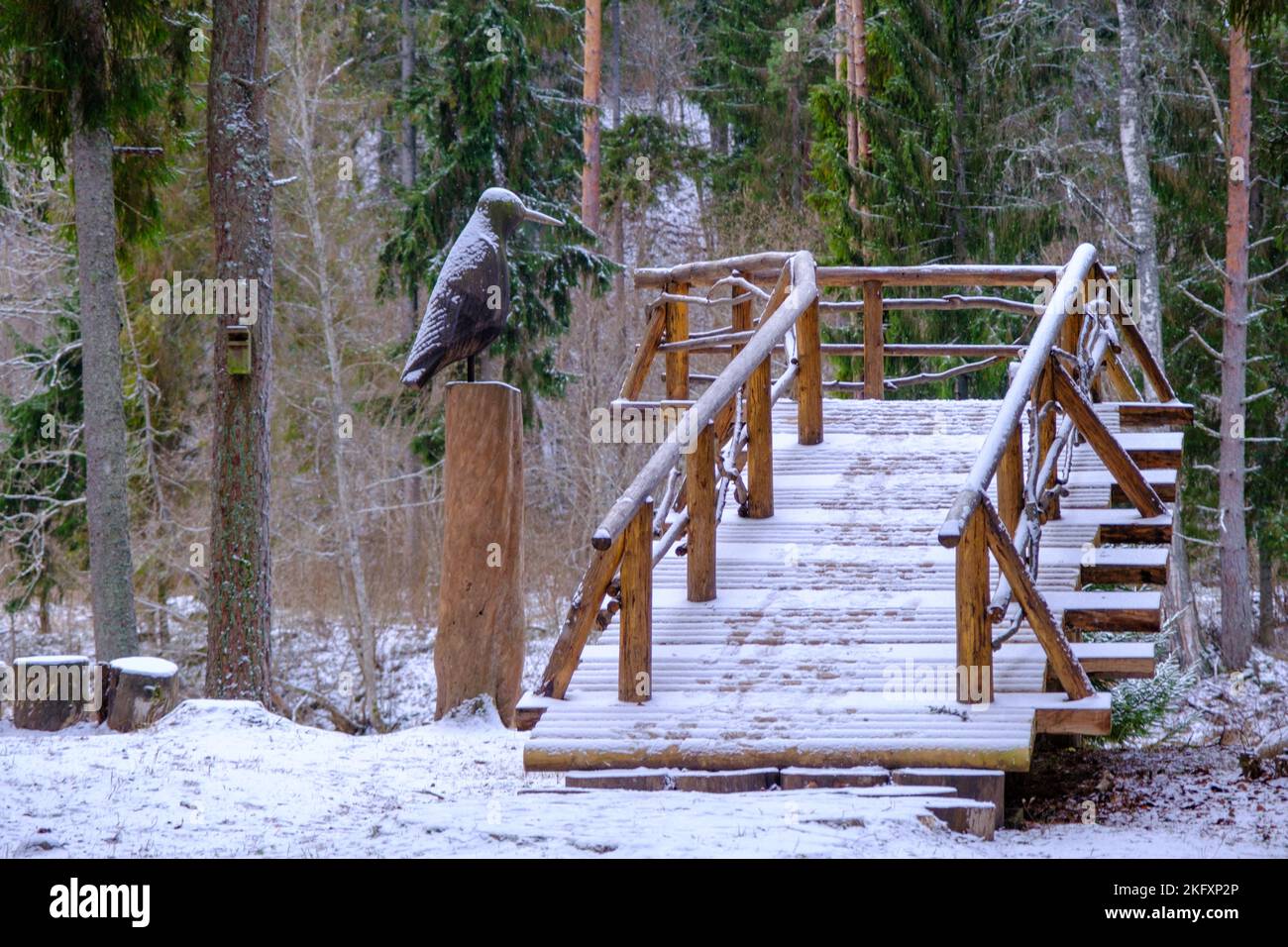 wooden viewing platform by the river. nature park Salaca. Skanaiskalns ...