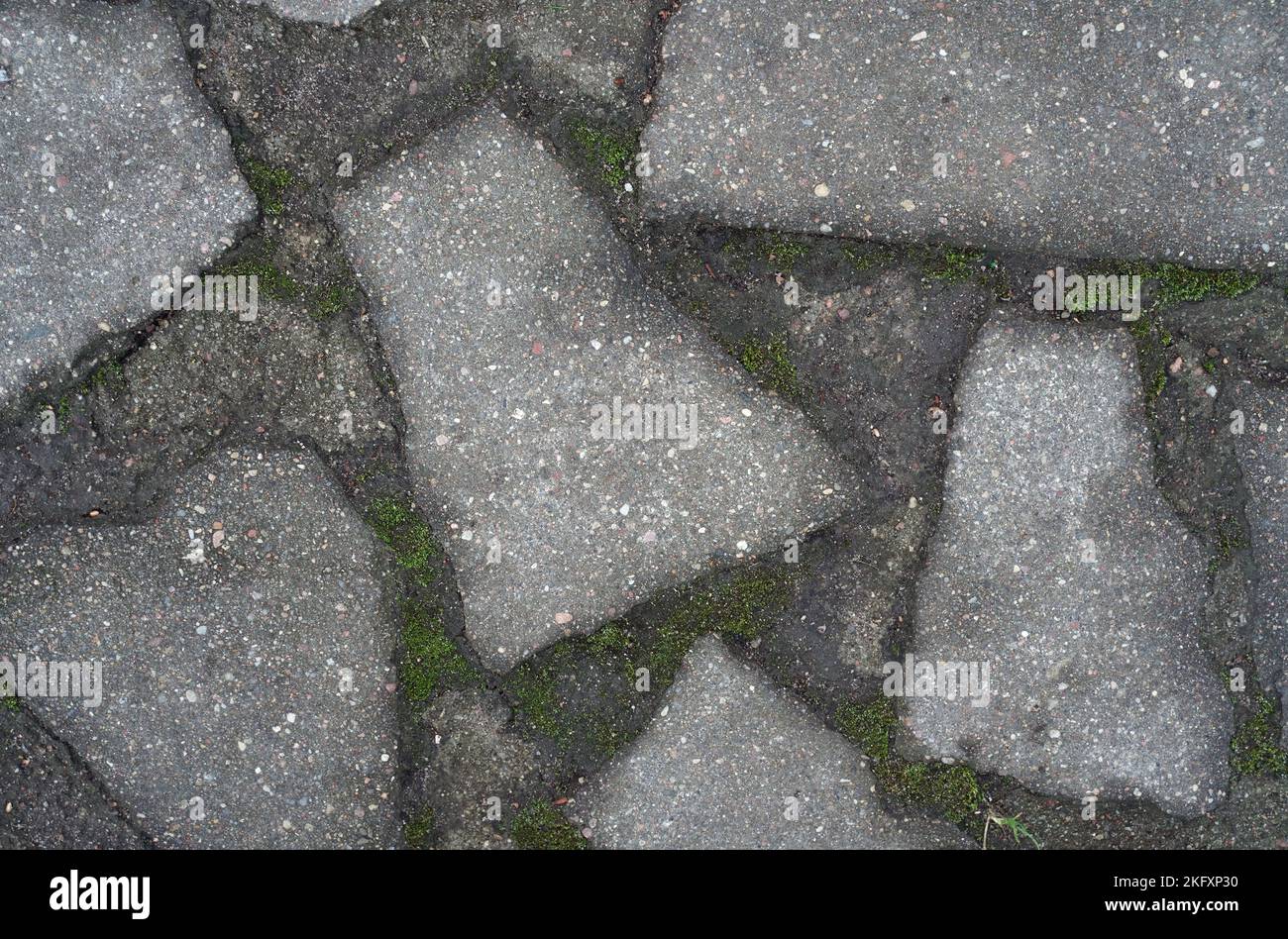 Texture. Cracked asphalt texture. View from above. Close-up Stock Photo ...