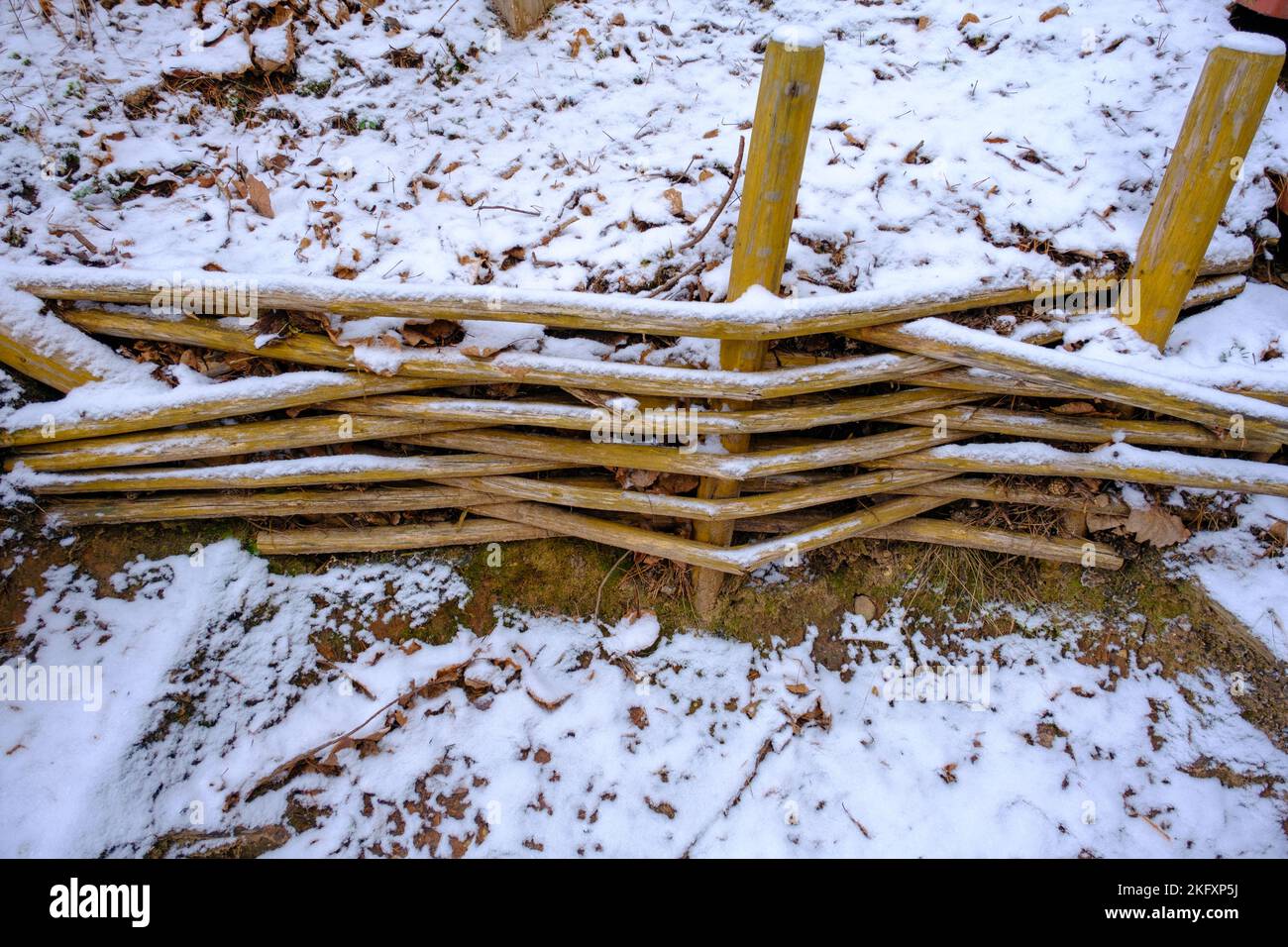 A fence of woven branches to create an ecologically sustainable wall ...