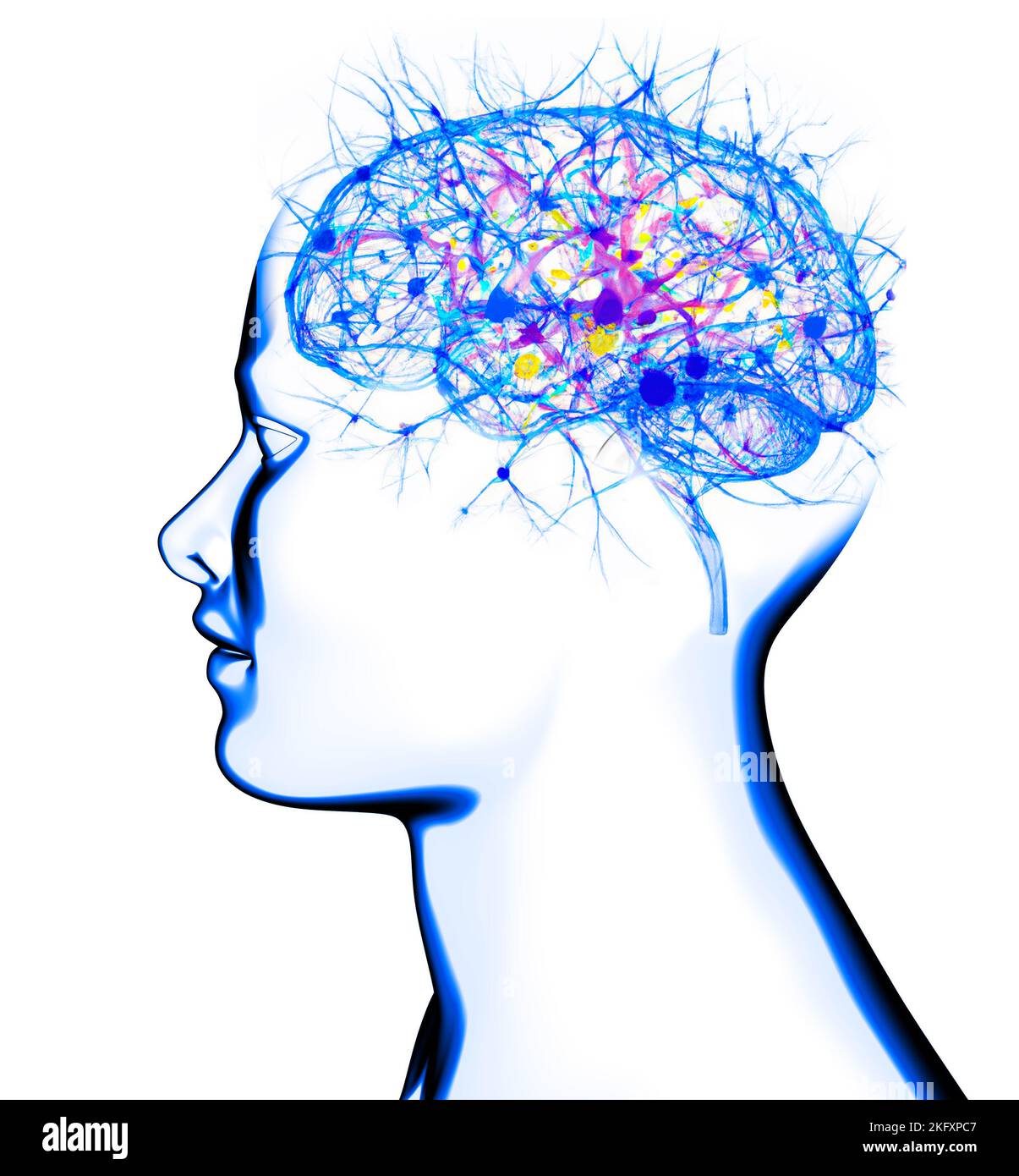 Neurology, philosophy: connections, the development of thought and ...