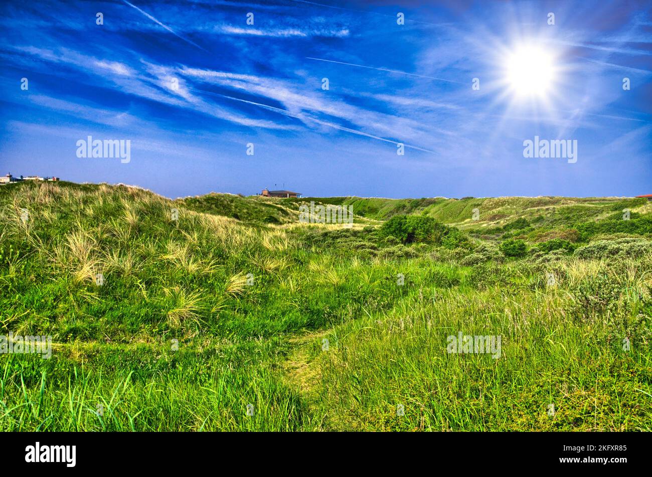 Background image of lush grass field under blue sky North Sea ...