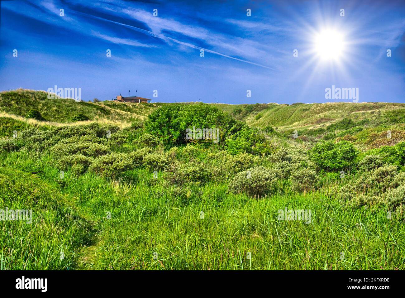Background image of lush grass field under blue sky North Sea ...