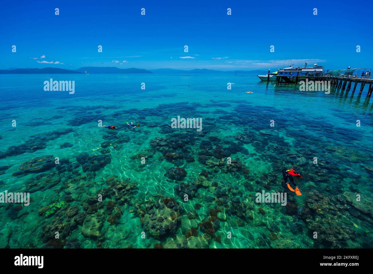 A breathtaking view of the Great Barrier Reef with scuba divers ...