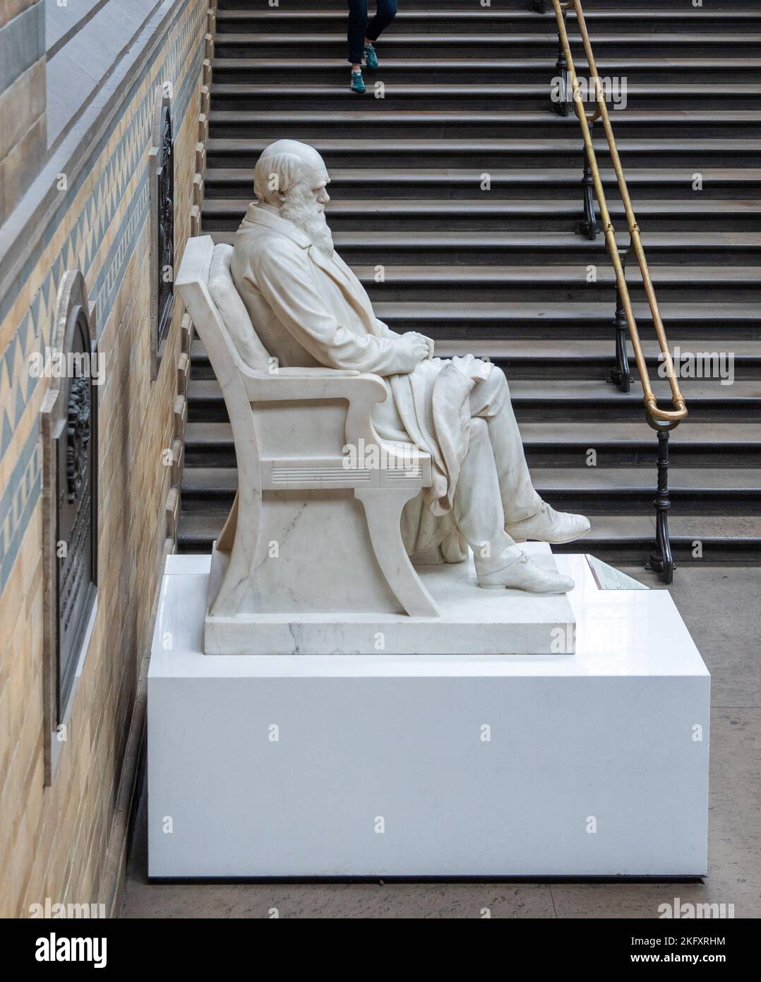 The statue of Charles Darwin in the Natural History Museum Stock Photo ...