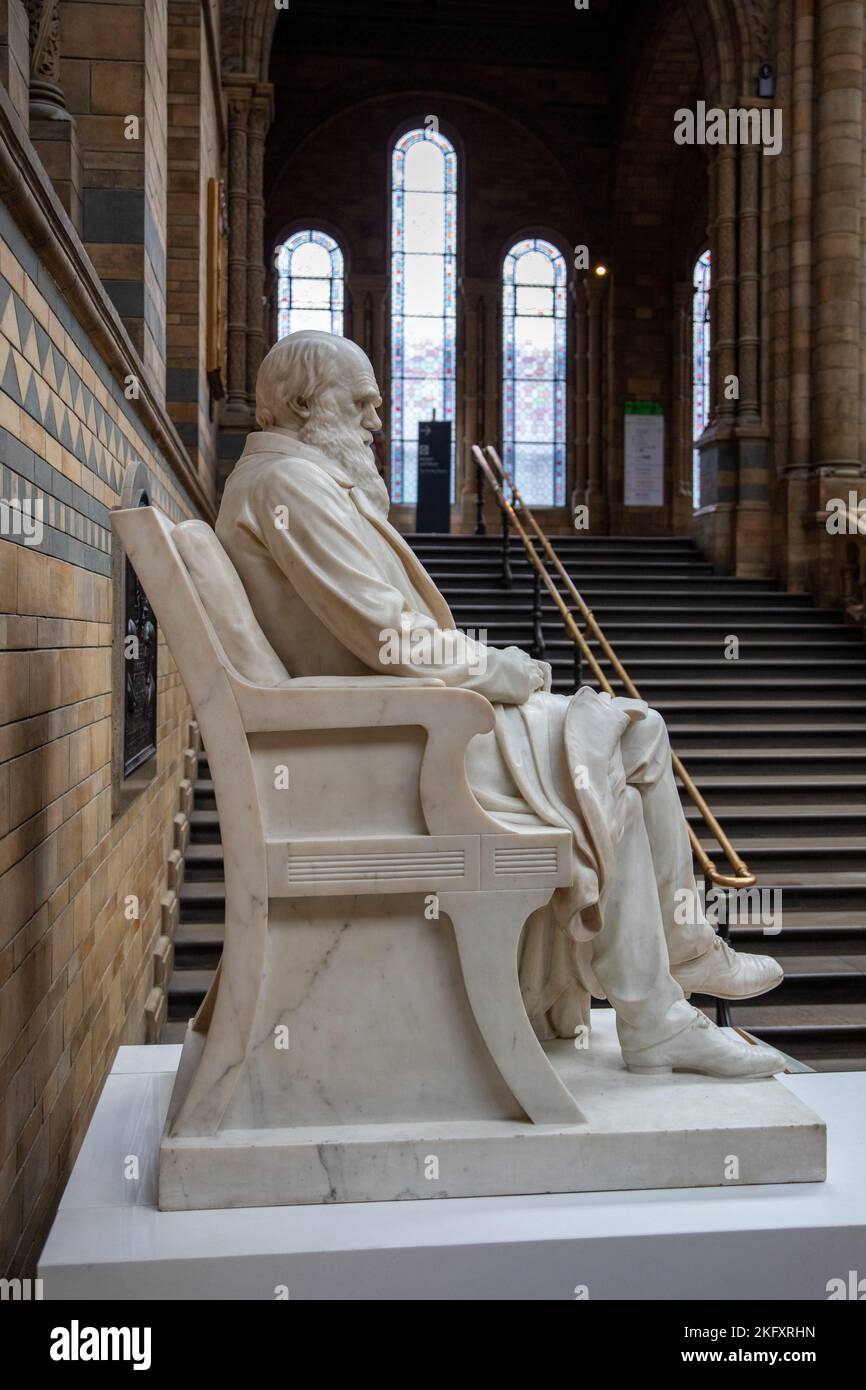 Charles darwin monument natural history museum hi-res stock photography ...