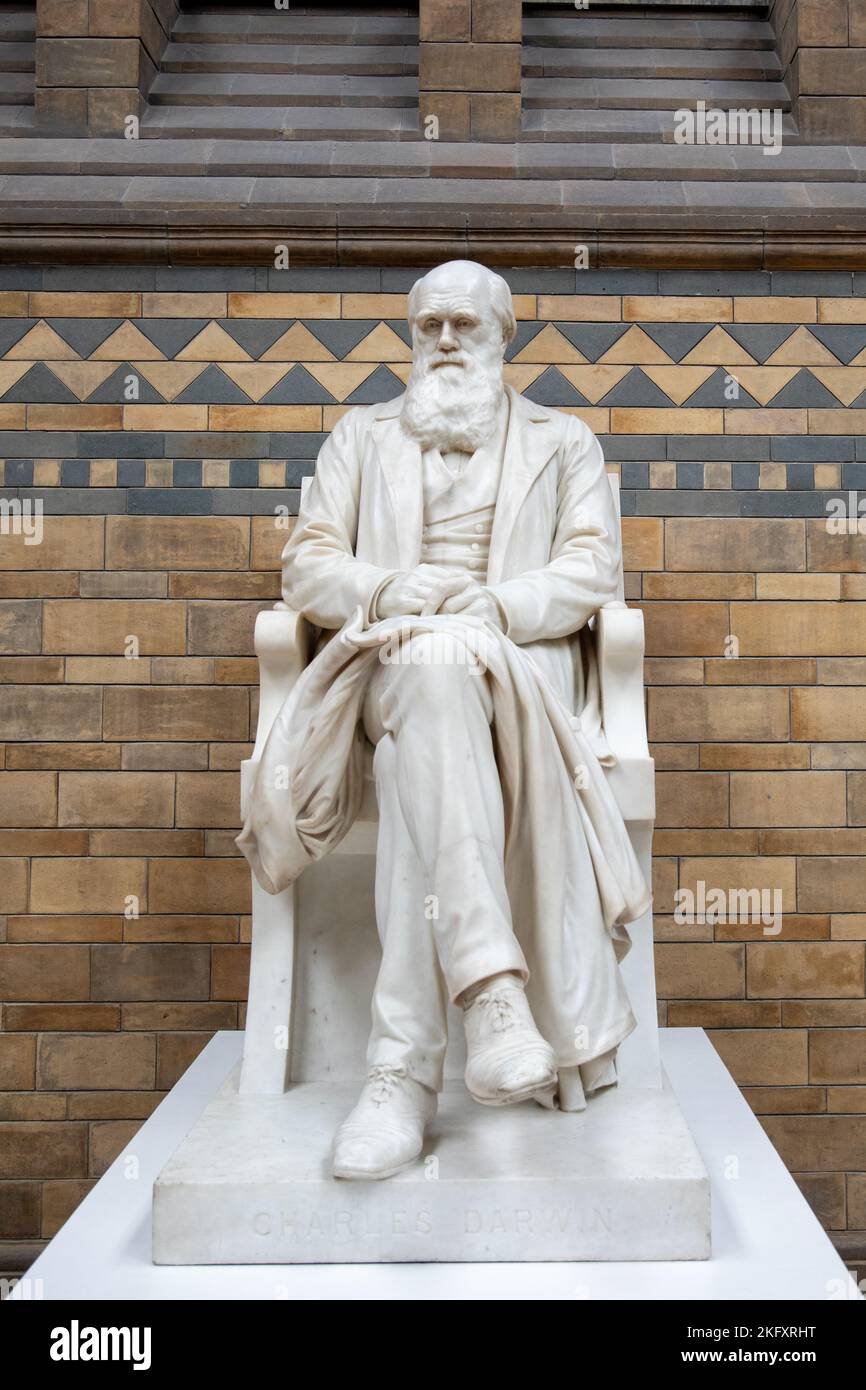 The statue of Charles Darwin in the Natural History Museum Stock Photo ...