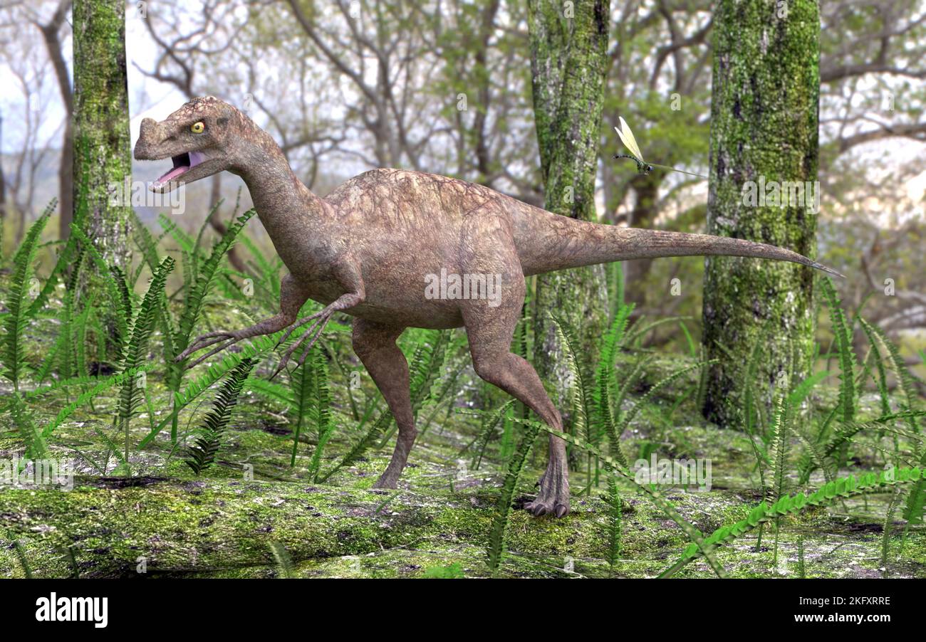 The dinosaur Ornitholestes moving through a swampy forested area in ...