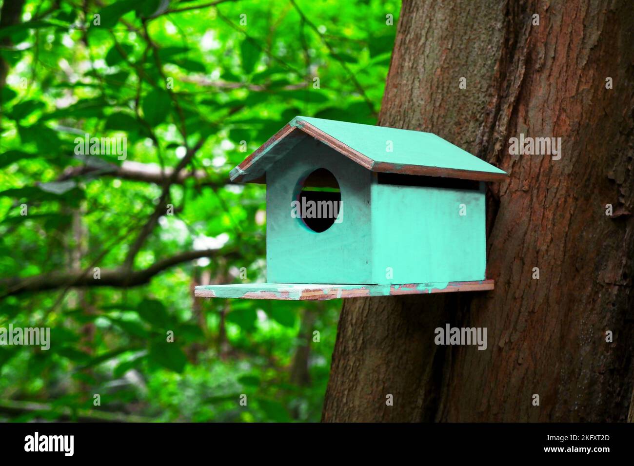 Colorful wooden birdhouse with a light green on the tree in the forest ...