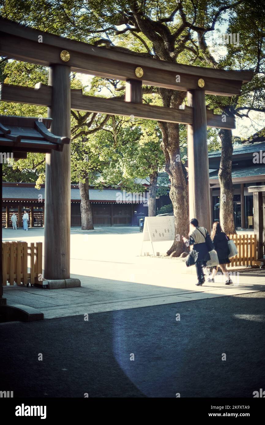 A vertical shot of two persons walking in a wooden gate under tree on a ...