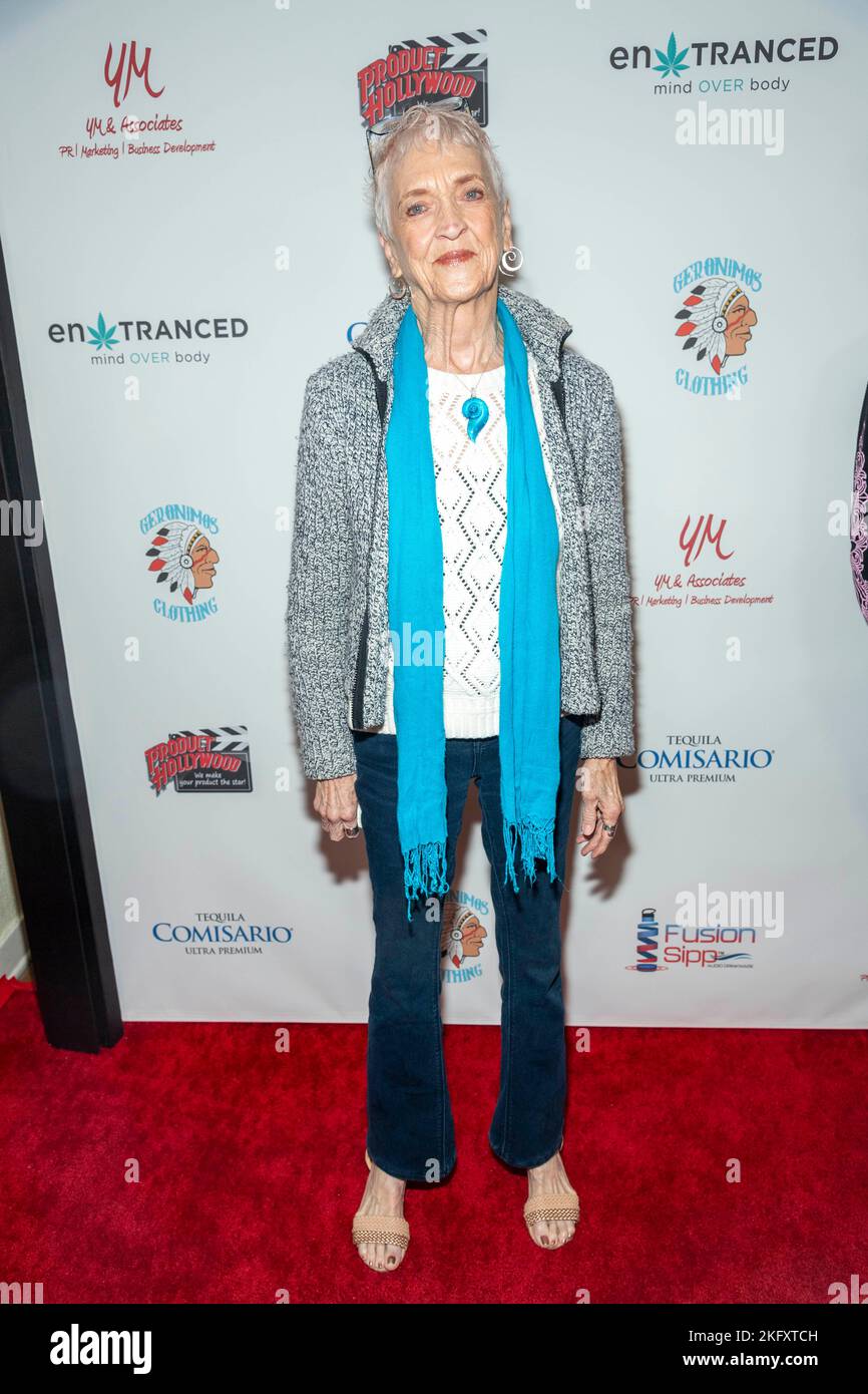 Los Angeles, USA. 19th Nov, 2022. Nancy Linehan Charles attends 2022 ...